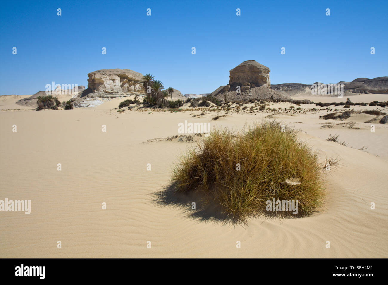 Oasis al-Wadi near White Desert National Park, Libyan Desert, Egypt ...