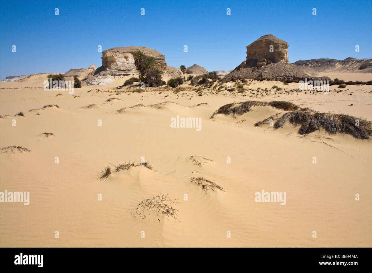 Oasis al-Wadi near White Desert National Park, Libyan Desert, Egypt ...