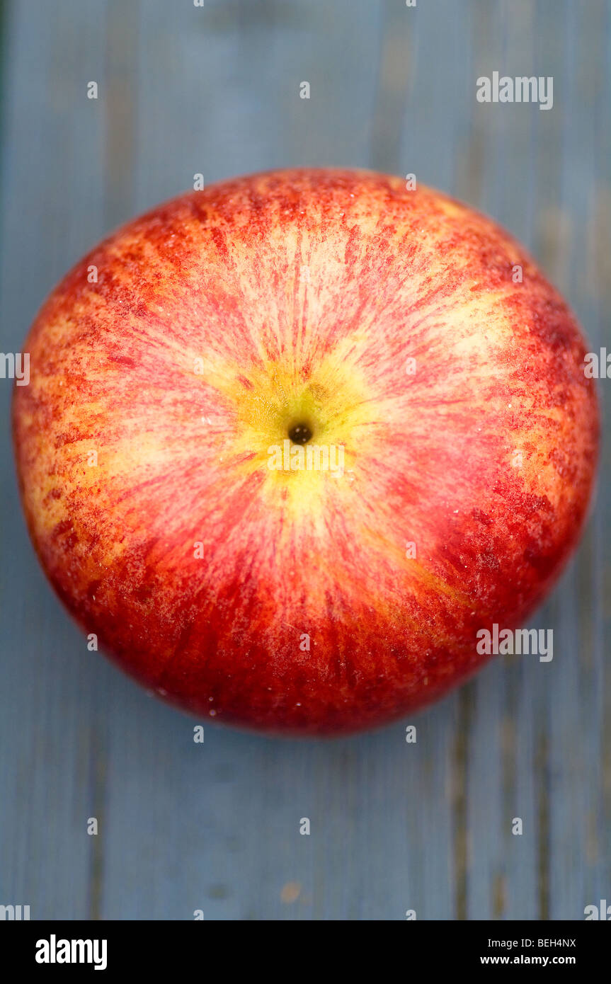 single red apple Stock Photo - Alamy