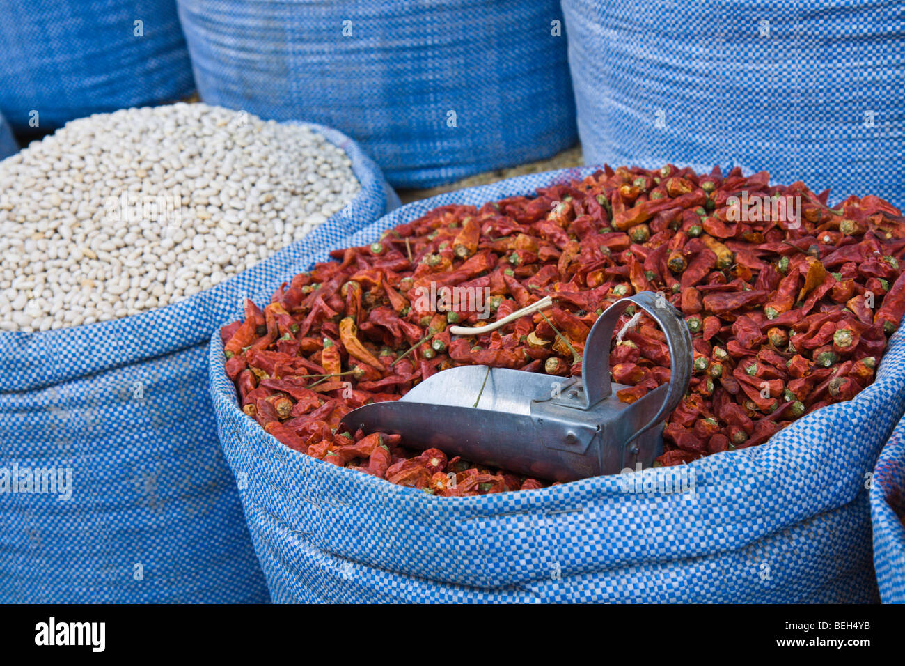 Shopping oasis hi-res stock photography and images - Alamy