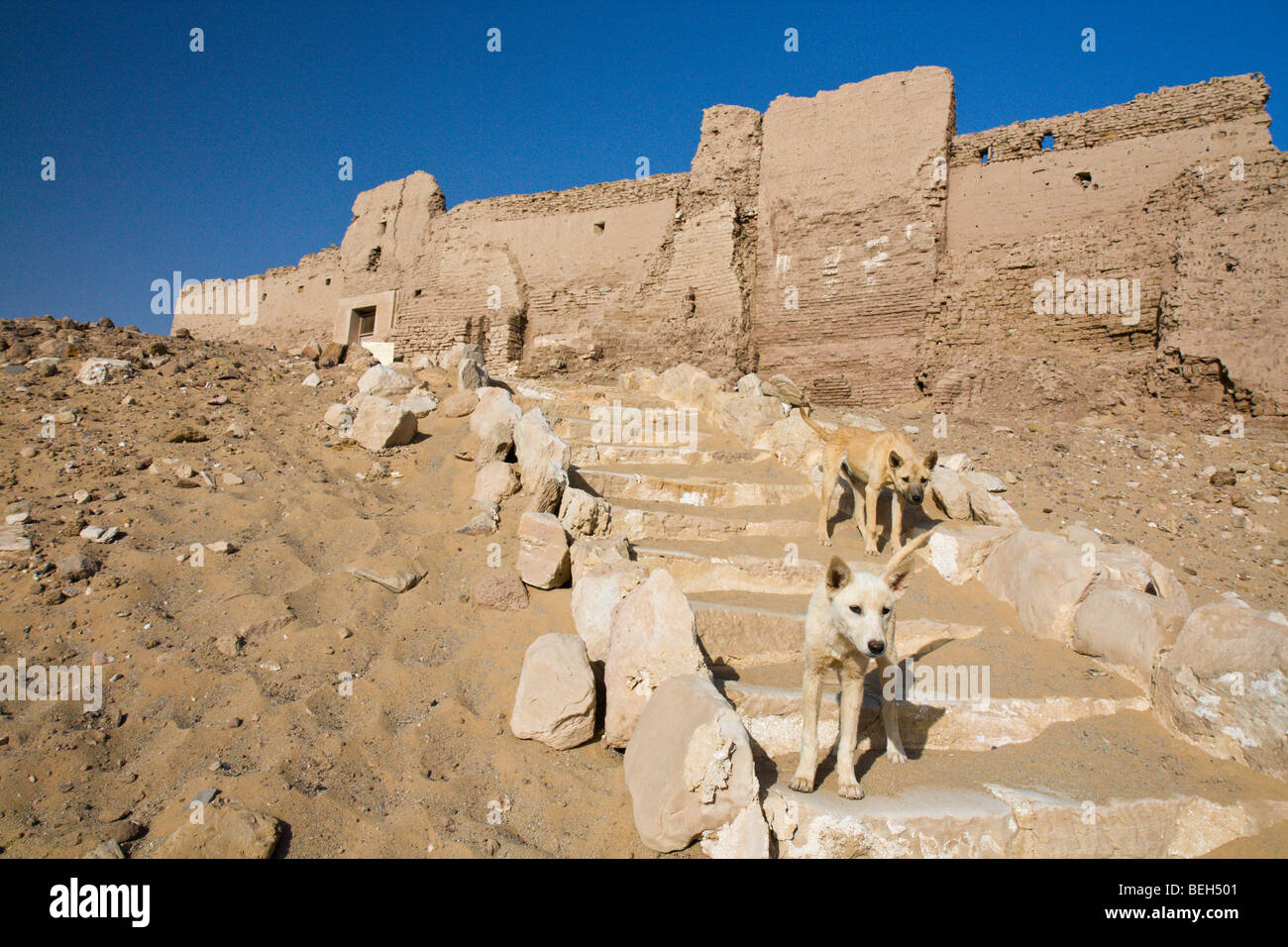 Ghuwaytah hi-res stock photography and images - Alamy
