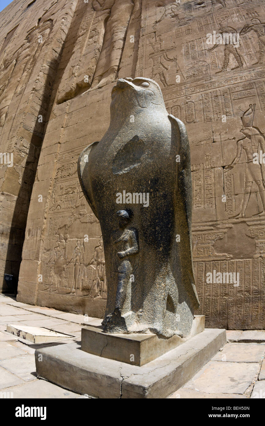 Horus Statue at Temple of Horus in Edfu, Edfu, Egypt Stock Photo - Alamy
