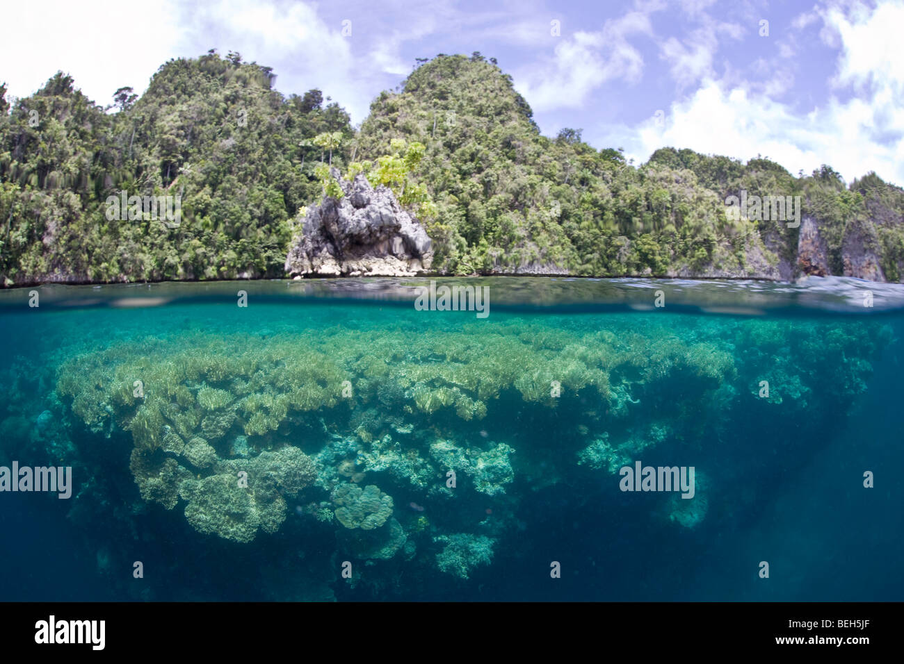 Coast and Coral Reef of Misool Island, Raja Ampat, West Papua ...