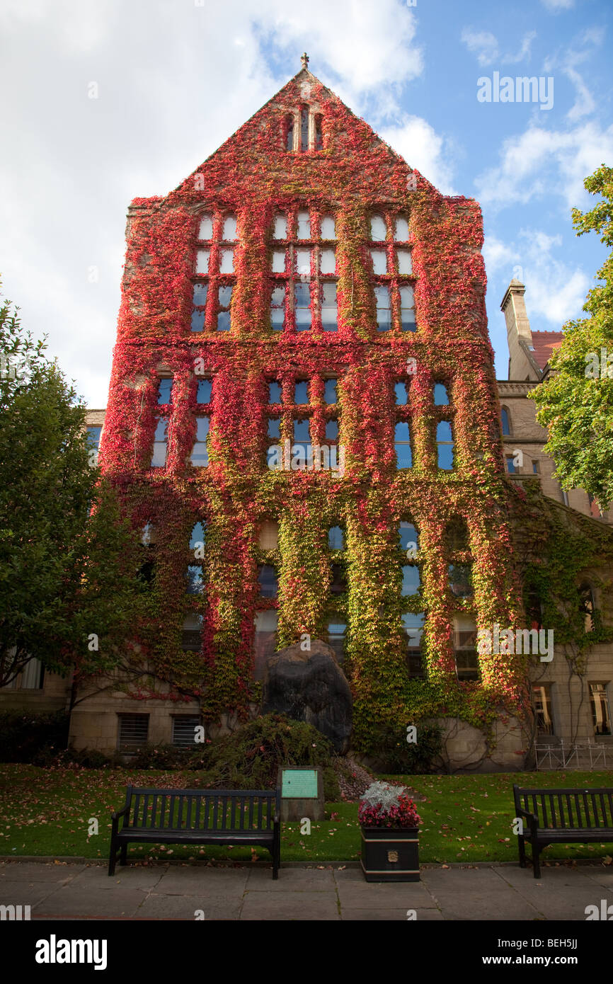 Vines in autumn on Beyer Building in Old Quadrangle, The University of ...
