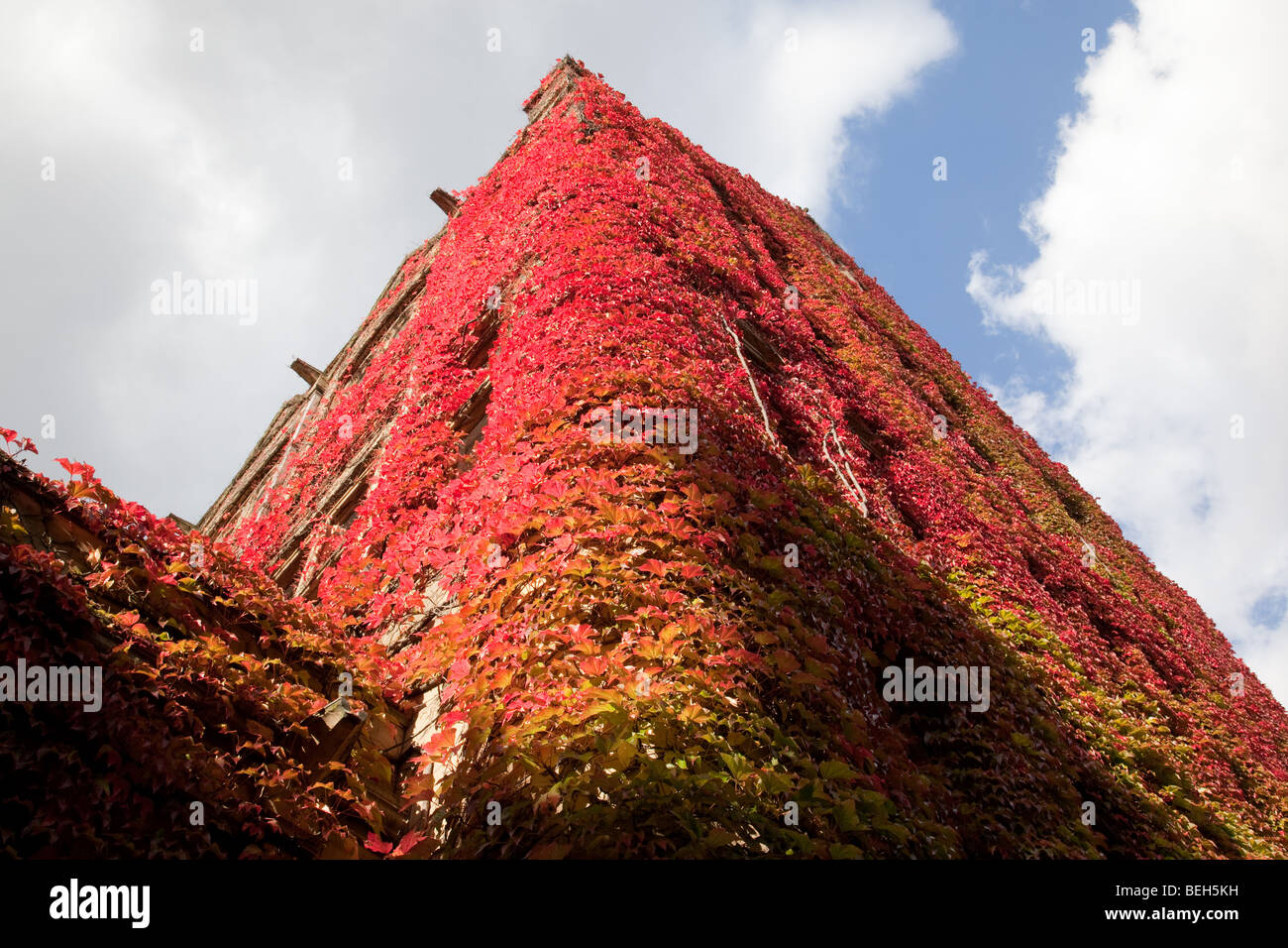 Beyer Building The University Of Manchester Stock Photos & Beyer ...