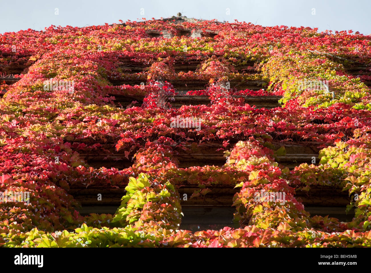 Beyer building manchester university hi-res stock photography and ...