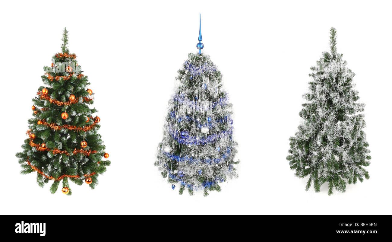 Three beautiful christmas trees differently decorated, studio shot ...