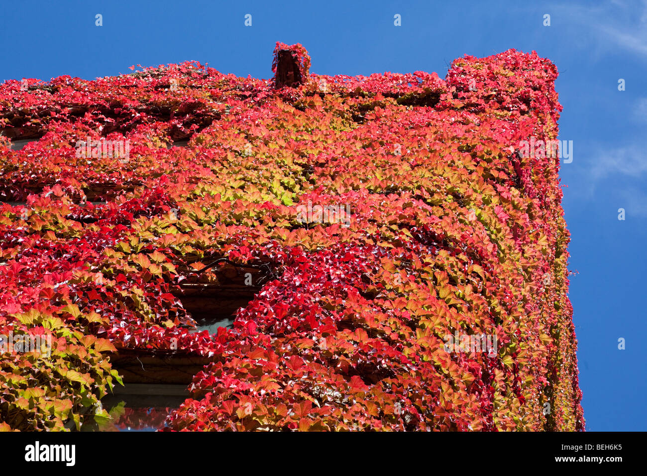 Beyer building the university of manchester hi-res stock photography ...