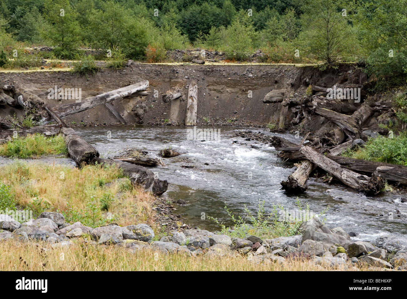 logs & ash layers from erupting volcano burying trees + sediment, Kid ...
