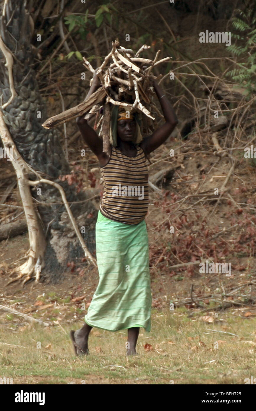 African woman carrying firewood hi-res stock photography and images - Alamy