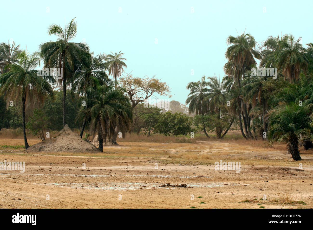 Bolon hi-res stock photography and images - Alamy