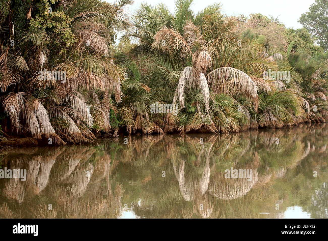 River Gambia, The Gambia Stock Photo - Alamy
