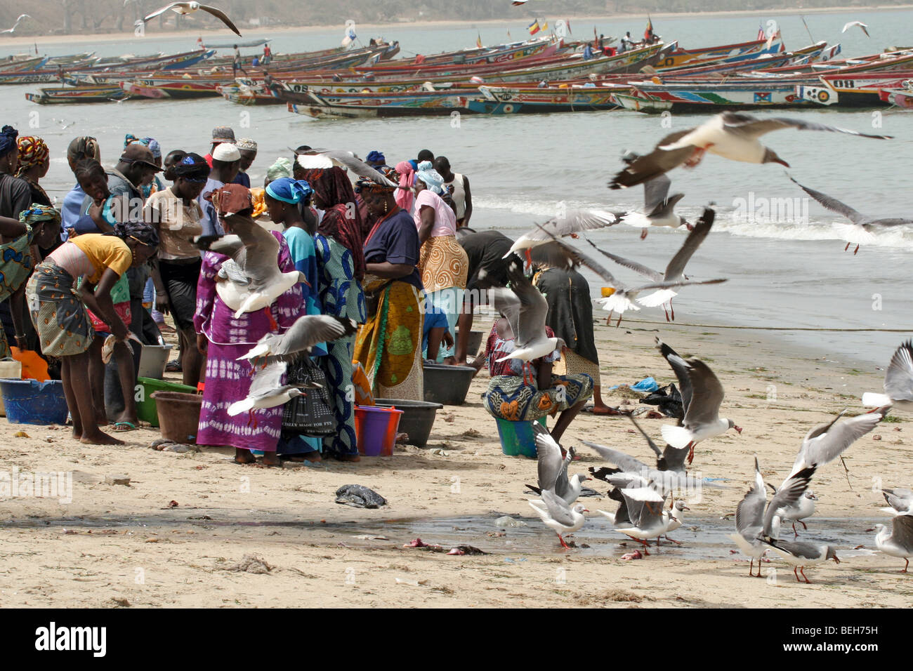 Tanje fish market, The Gambia Stock Photo - Alamy