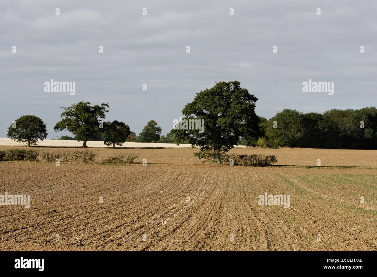August in england hi-res stock photography and images - Alamy