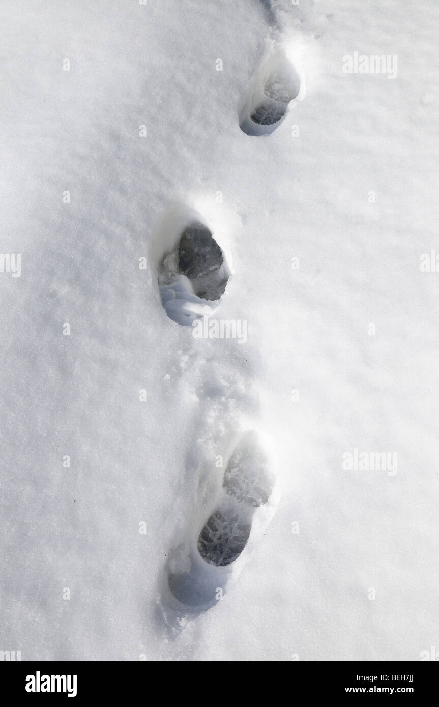 Footsteps in the snow Stock Photo - Alamy