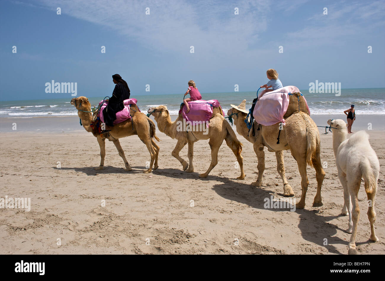 Camel beach resort hi-res stock photography and images - Alamy
