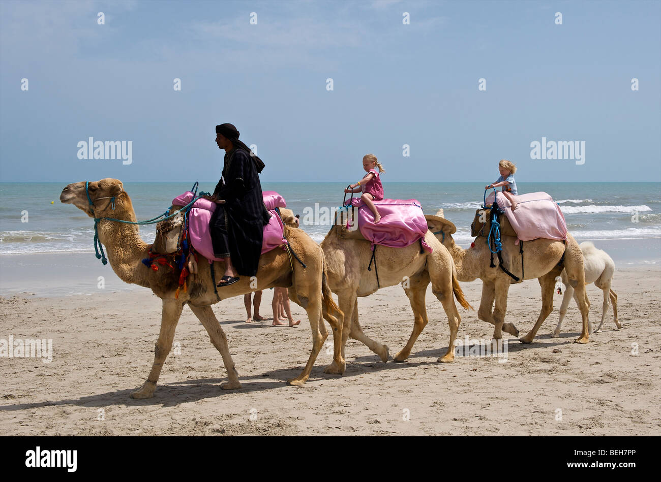 Camel beach resort hi-res stock photography and images - Alamy