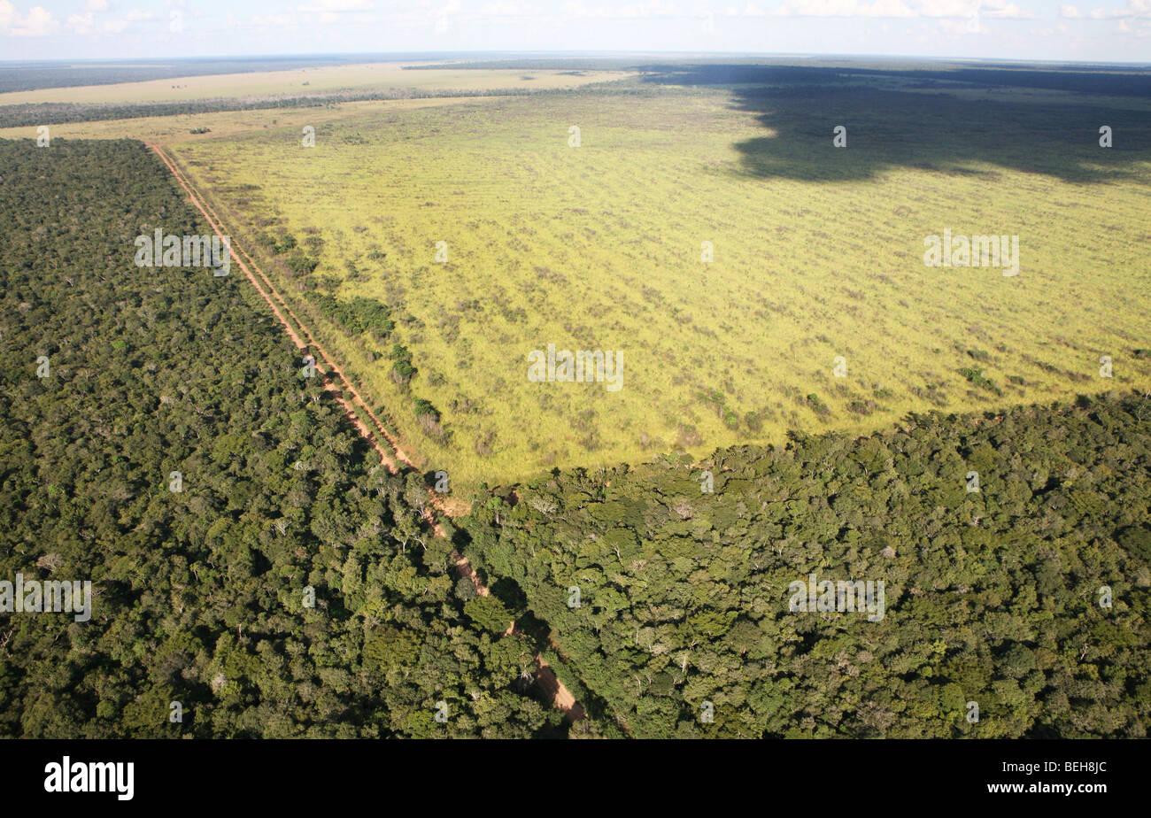 A lrage part of the Amazone has been destroyed and transferred into ...