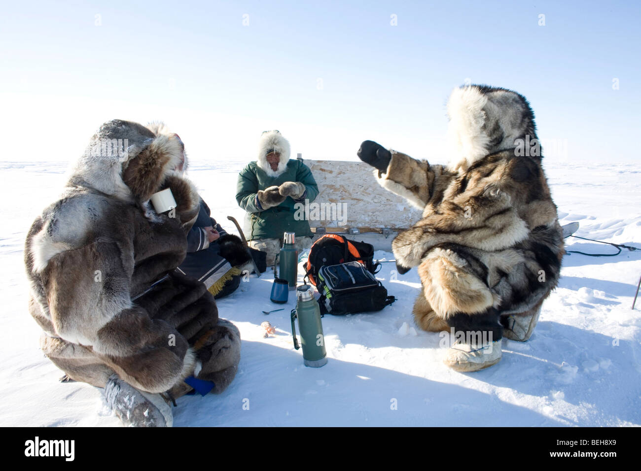 Gojahaven is a town in the far north of canada in 1000 where Inuits ...