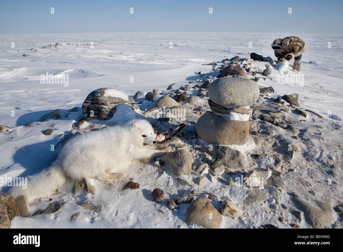Gojahaven is a town in the far north of canada in 1000 where Inuits ...