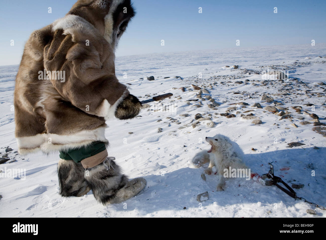 Gojahaven is a town in the far north of canada in 1000 where Inuits ...