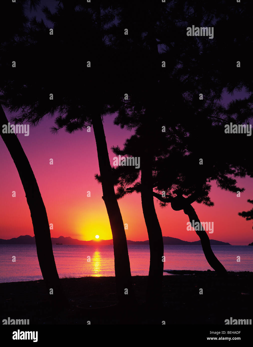 Itoshima hi-res stock photography and images - Alamy