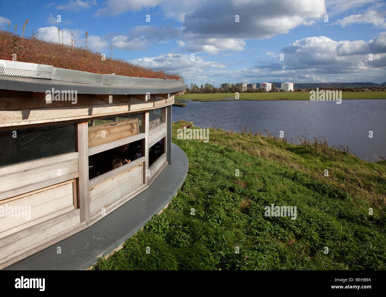 Rspb saltholme nature reserve hi-res stock photography and images - Alamy