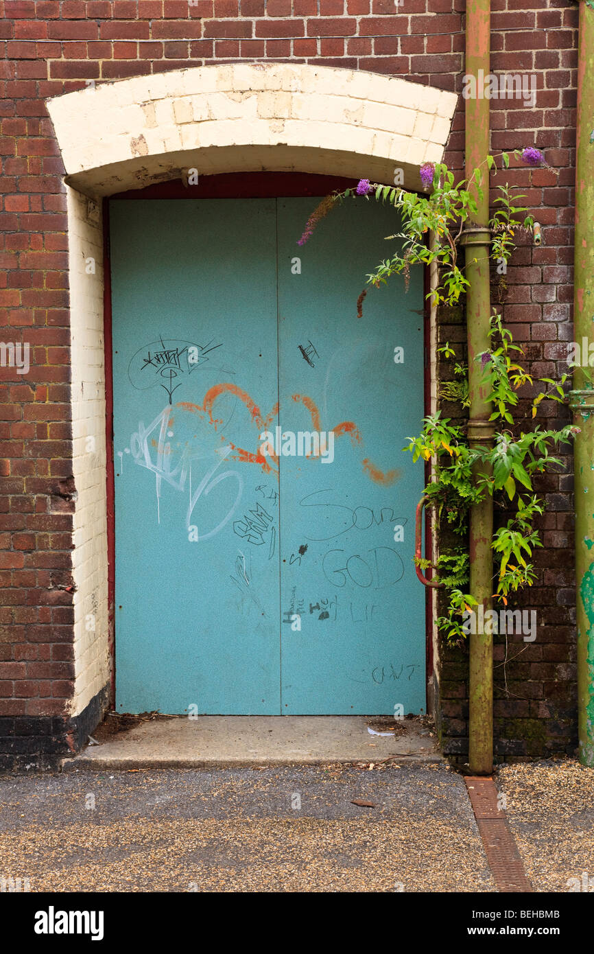 Boarded doorway with Buddleia growing from the wall, Plymouth City ...