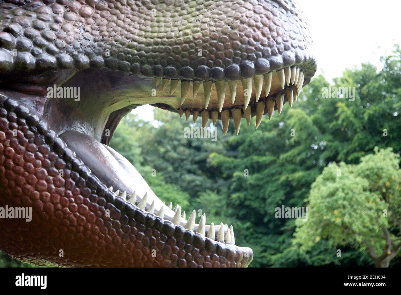 Dinosaur head fossil hi-res stock photography and images - Alamy