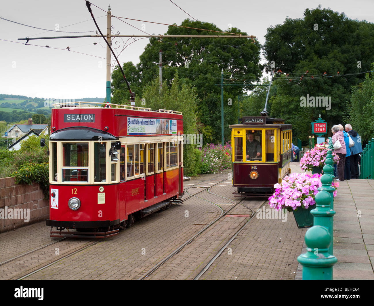 Tram On Seaton Tramway High Resolution Stock Photography and Images - Alamy