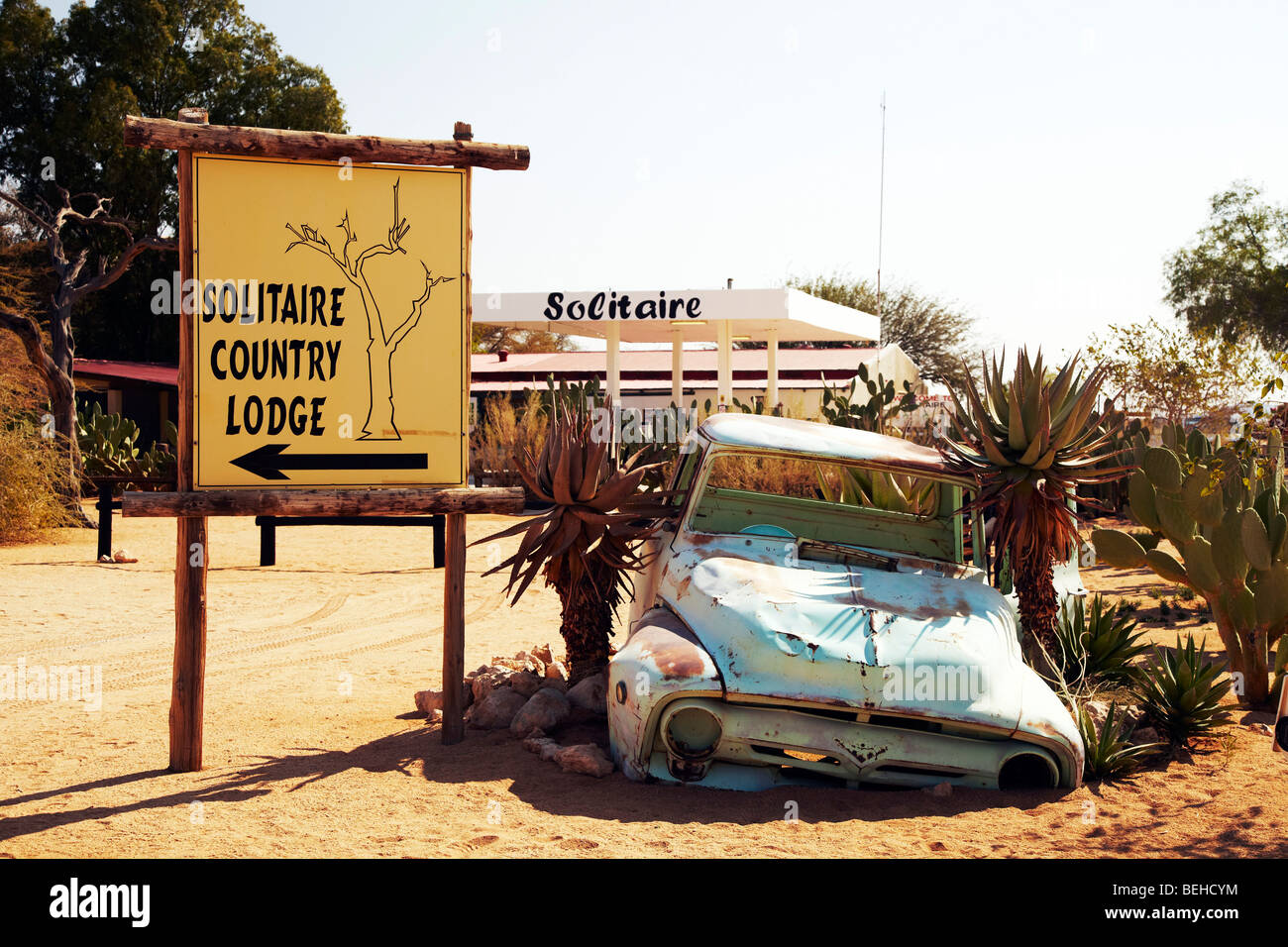 Scar in cactus hi-res stock photography and images - Alamy