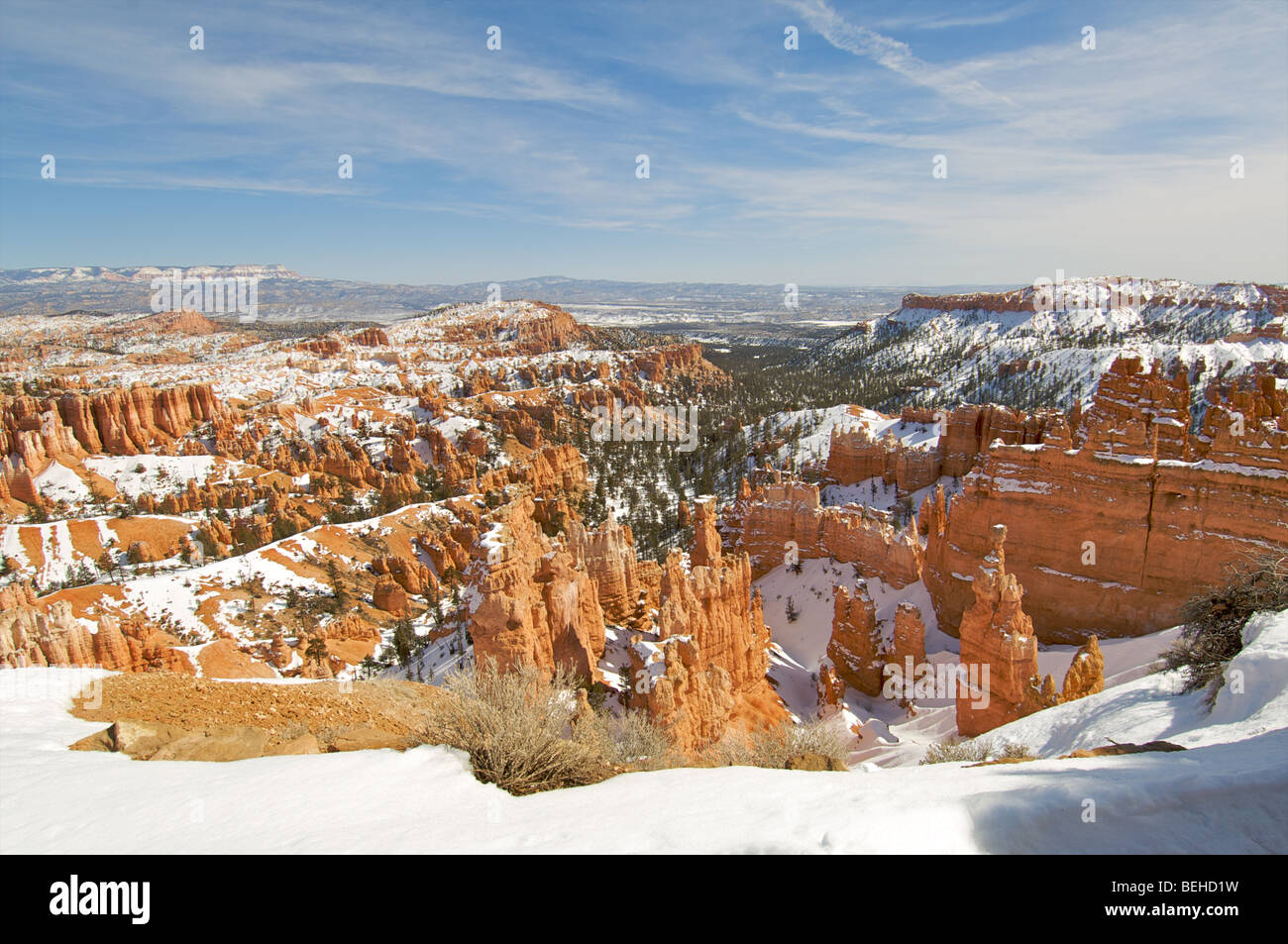 Canyon wald hi-res stock photography and images - Alamy