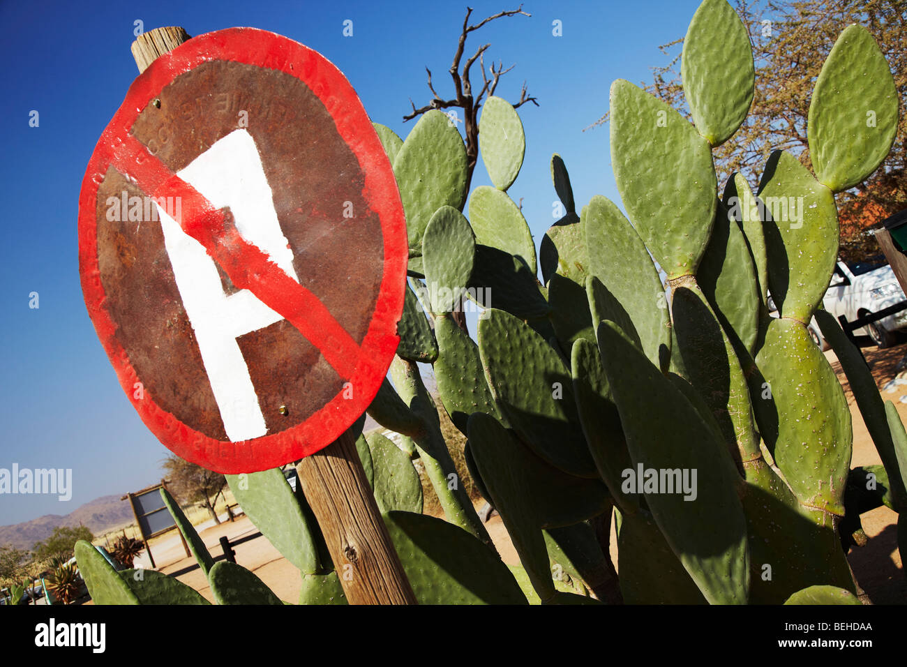 old no parking sign, no parking sign in cactus Stock Photo - Alamy