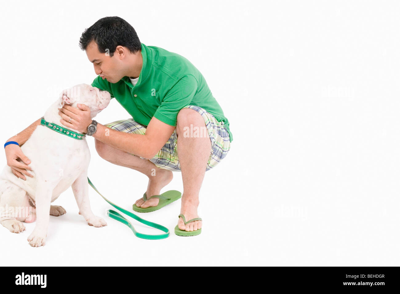 Animal pampering hi-res stock photography and images - Alamy