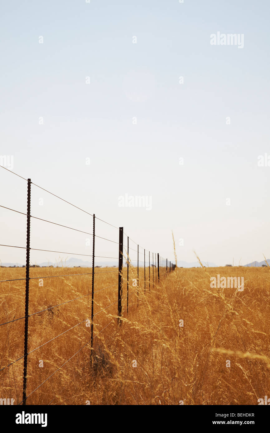 flat grassland landscape, Sossusvlei, Namibia Stock Photo - Alamy