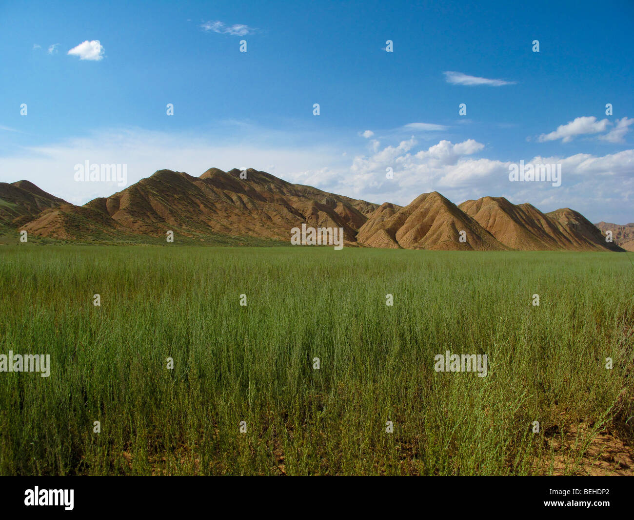 Semi Arid Landscape Stock Photos & Semi Arid Landscape Stock Images - Alamy