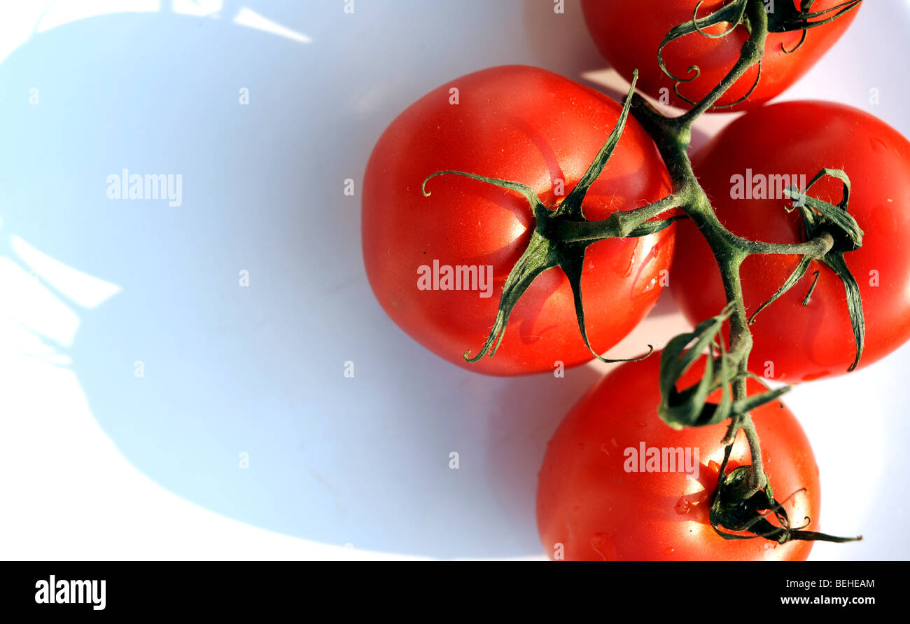 Healthy tomaties hi-res stock photography and images - Alamy