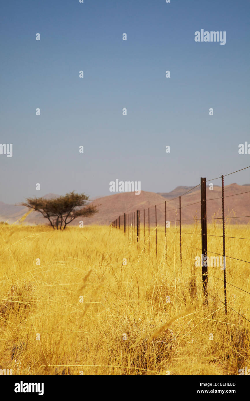 fenced grassland landscape, Sossusvlei, Namibia Stock Photo - Alamy