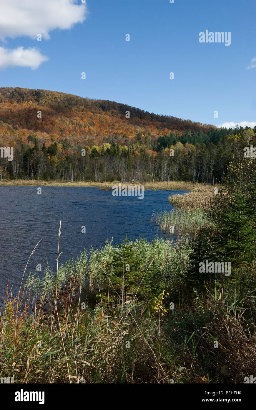 Eden hills hi-res stock photography and images - Alamy
