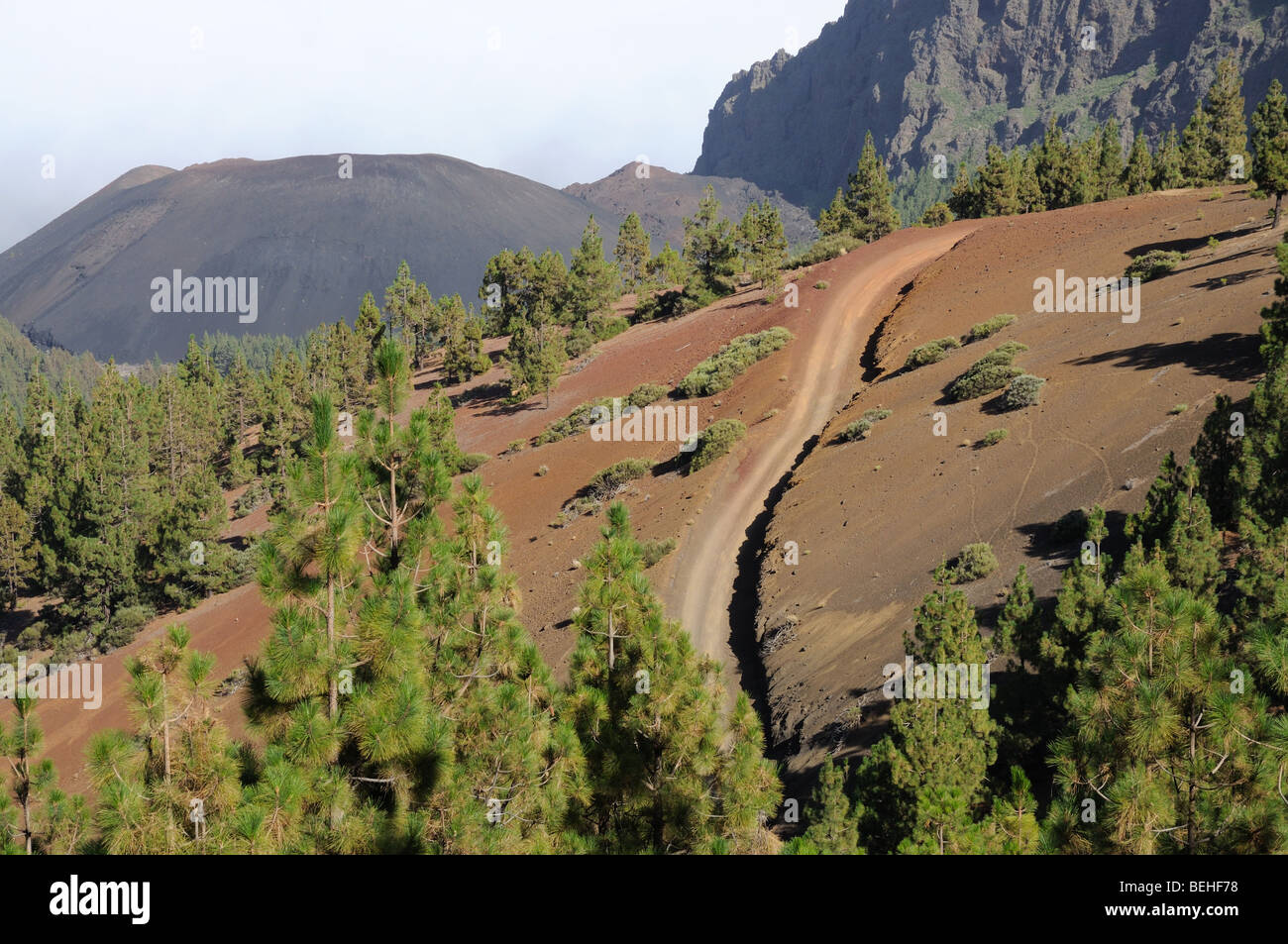 Tenerife landscape hi-res stock photography and images - Alamy