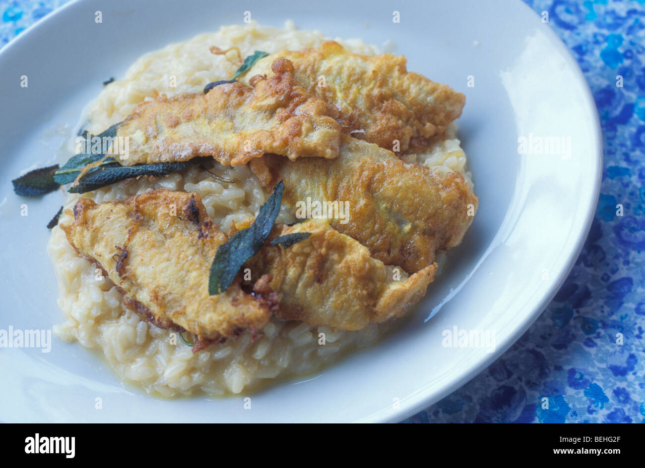Perch filet on risotto, typical fish dish, Lace Como, Lombardy, Italy ...