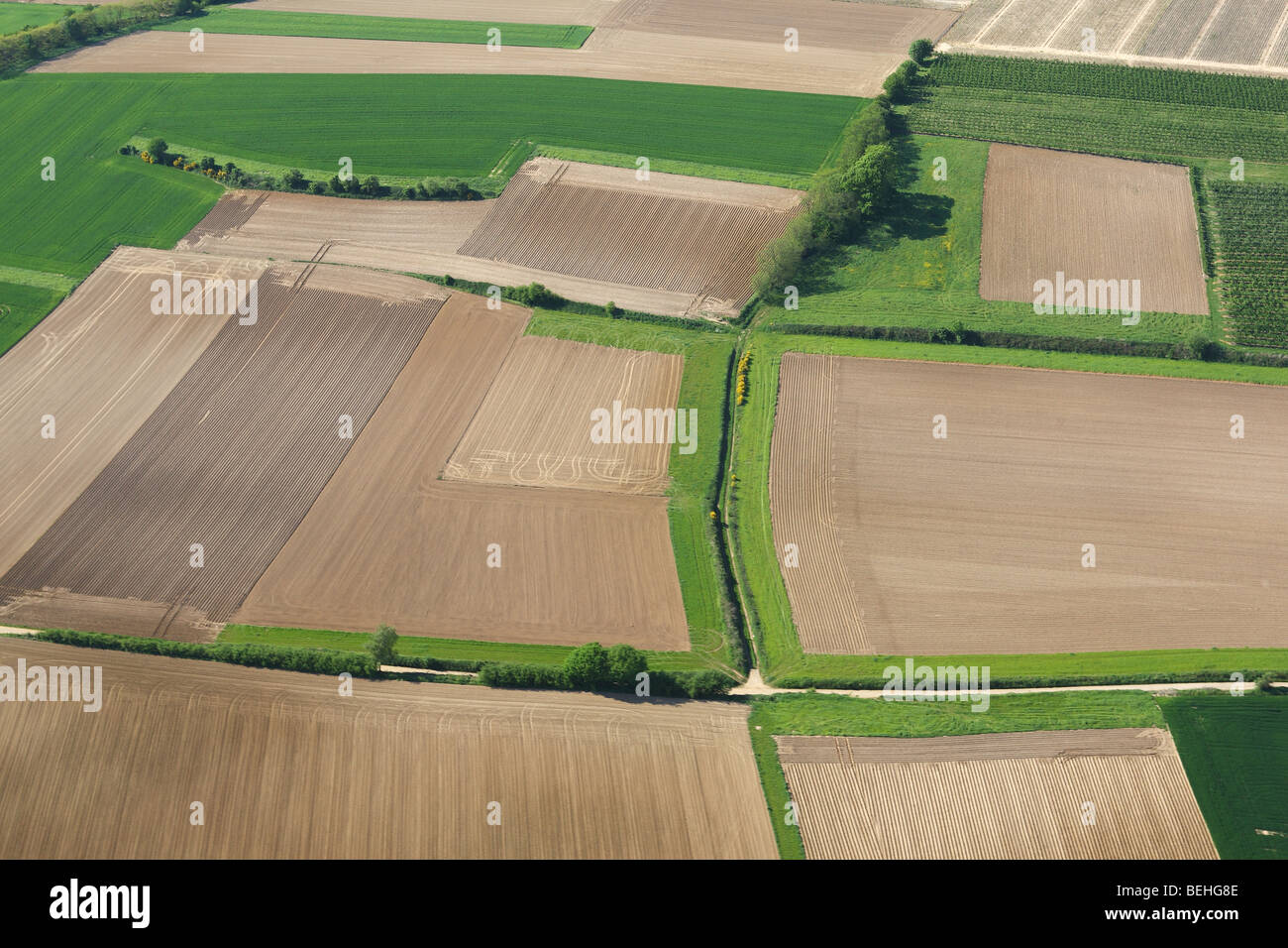 Meadow and hedges hi-res stock photography and images - Alamy