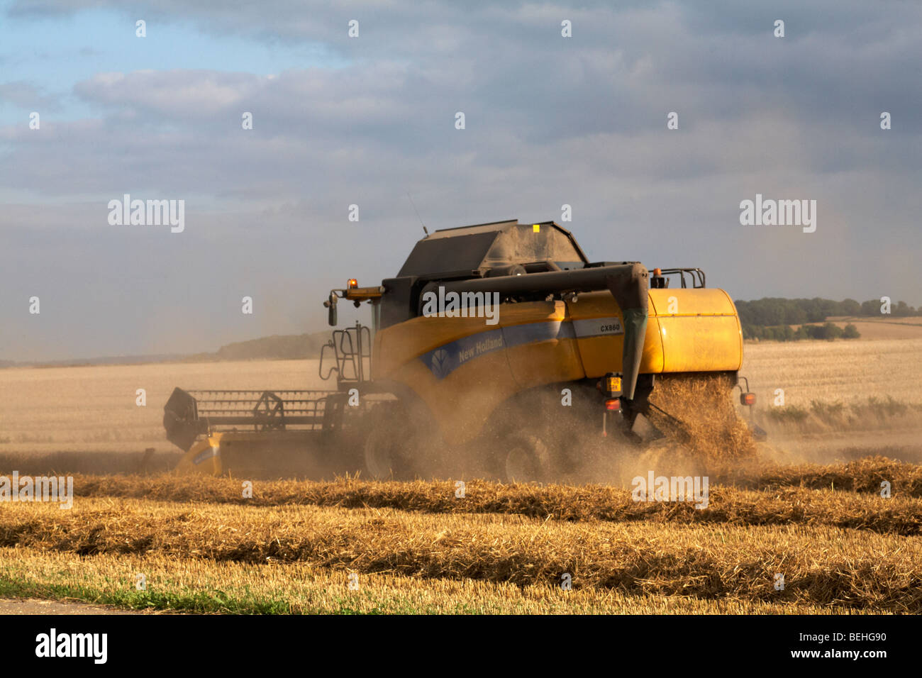 Combine harvester reaping wheat field hi-res stock photography and ...