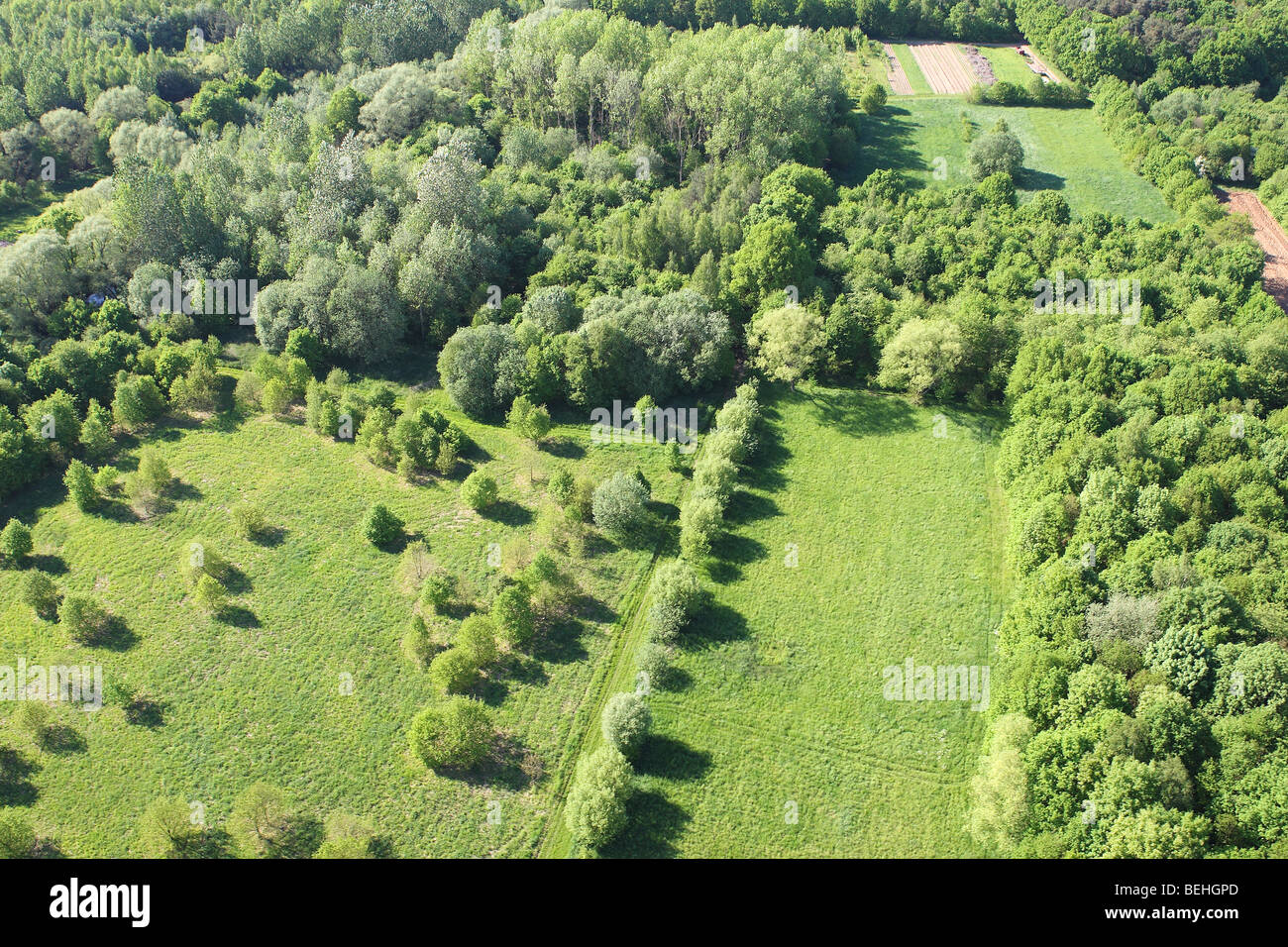 Belgium forests hi-res stock photography and images - Alamy