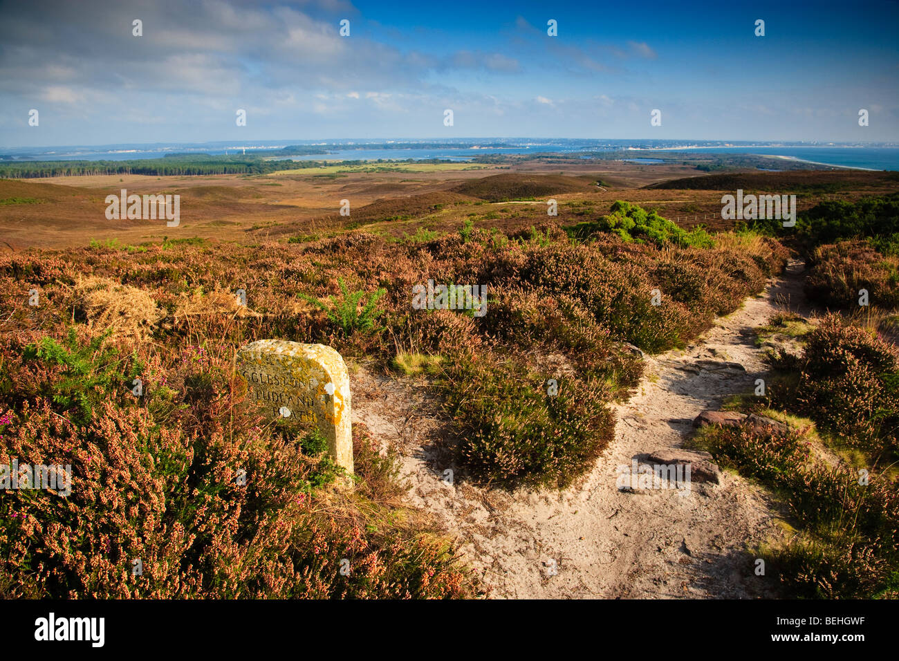 Late summer / early autumn sunshine on Studland Heath, Purbeck, Dorset ...