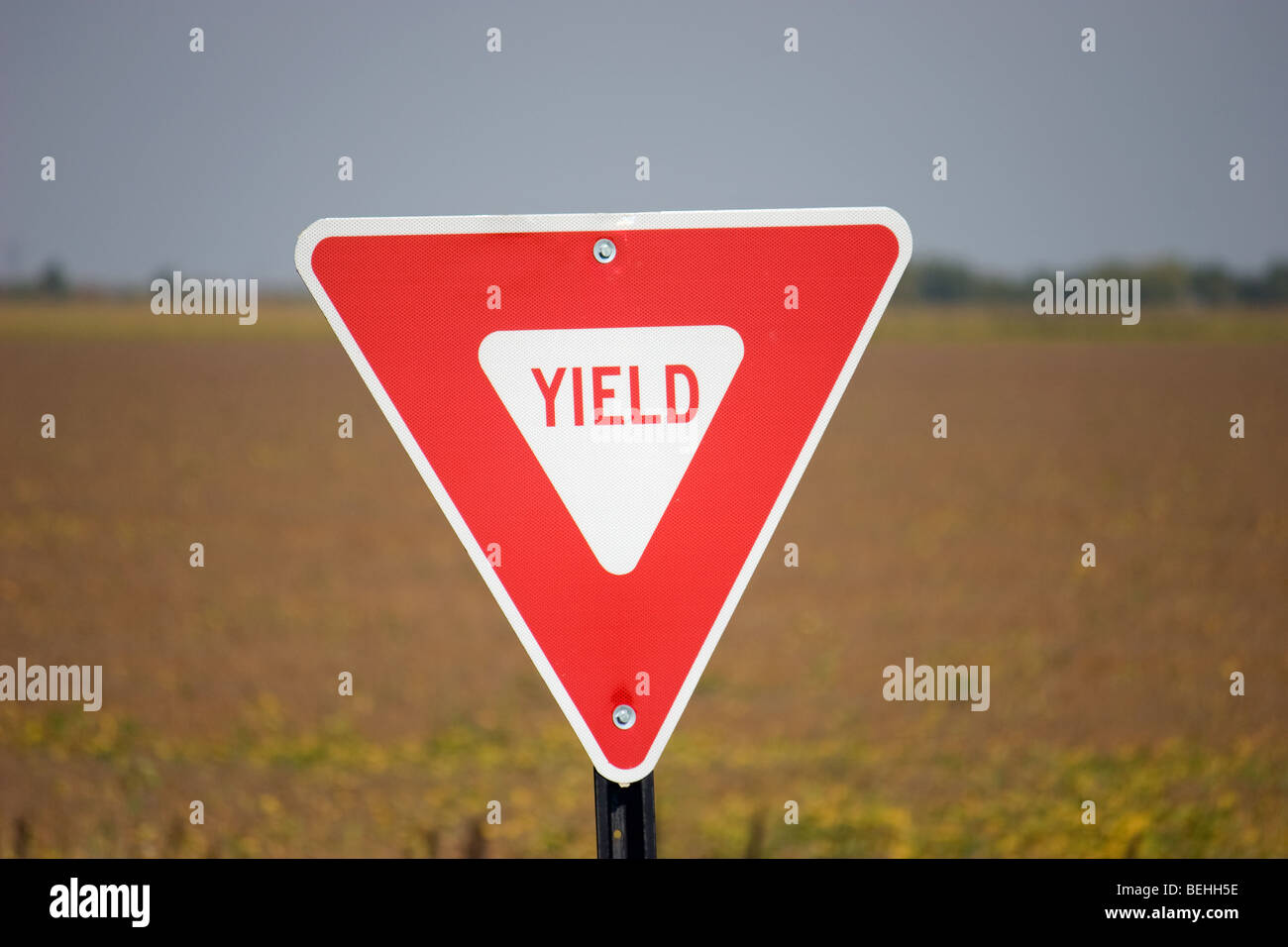 Yield sign hi-res stock photography and images - Alamy