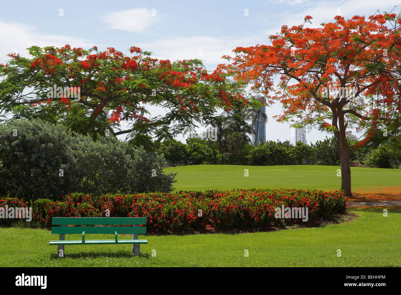 Park bench in a garden Stock Photo - Alamy
