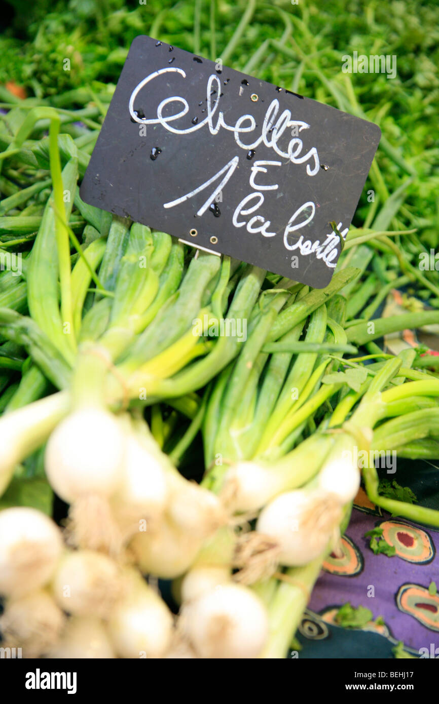 Marche forville hi-res stock photography and images - Alamy