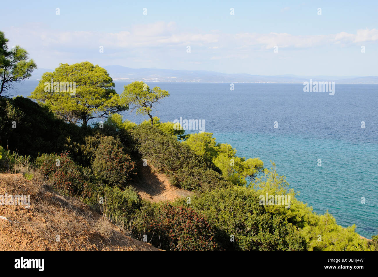 Greek coastal landscape overlooking the Toroneos Gulf at Nea Fokaia ...