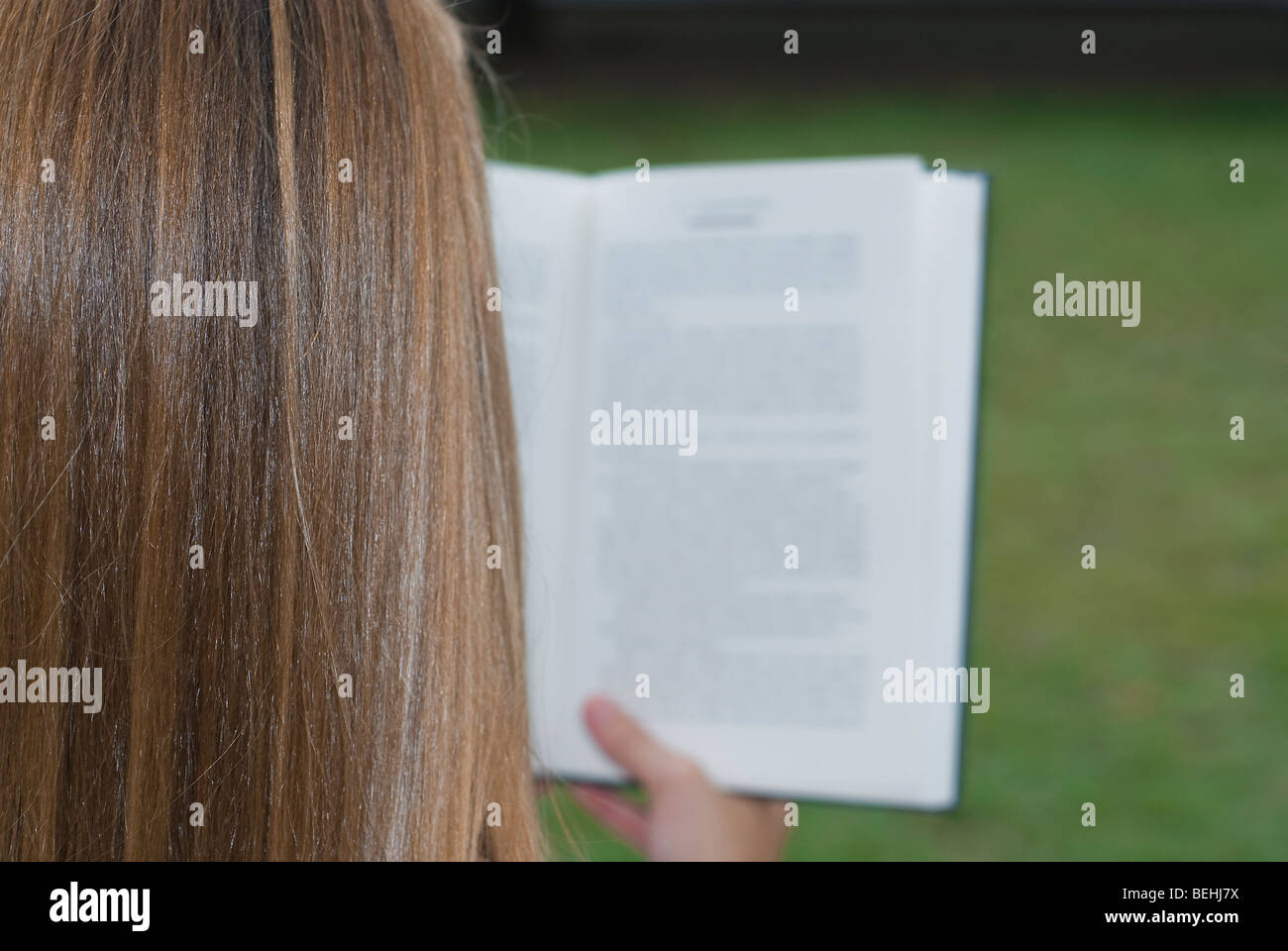 Rear view of a woman reading a book Stock Photo - Alamy